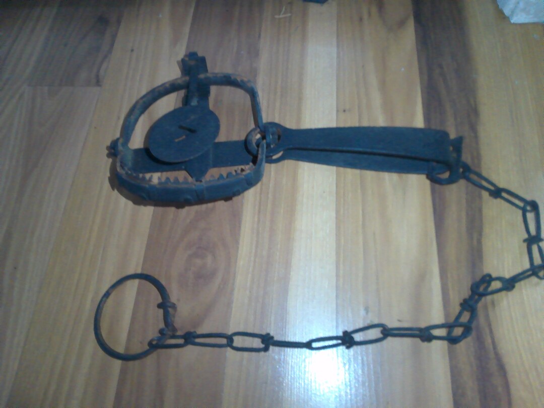 Oneida Victor Animal Trap - 15" Chain on a 4.5" Diameter Pressure Plate ...