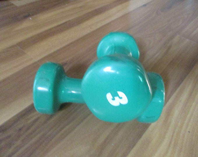 3 Lb Hand Weights - Rubber Coated H Pair of Vintage Workout Weights in ...