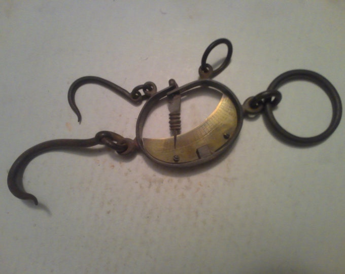 Antique Brass Buffalo Hide Scale - Unusual Form by Jellinghaus & Co ...