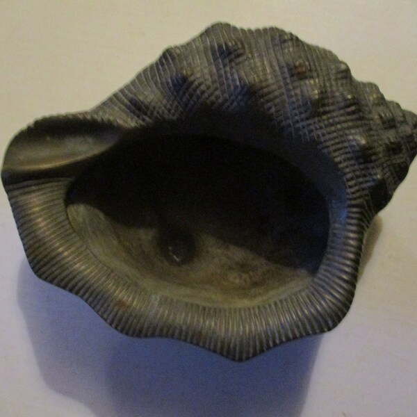 Large Conch Shell Planter - Etsy Large Conch Shell Planter - Etsy