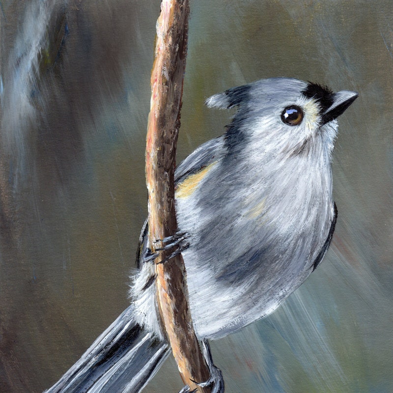 Tufted Titmouse - Etsy