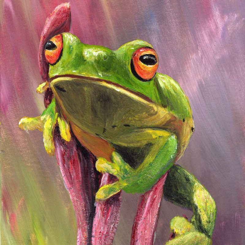 Tree Frog Painting - Etsy