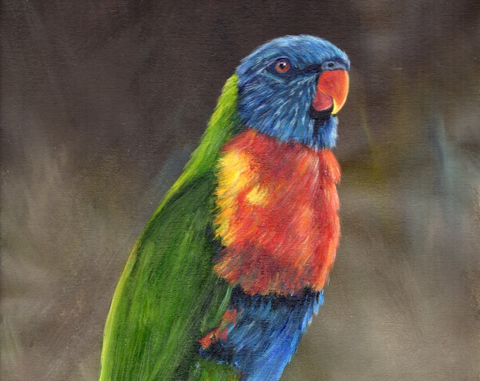 Bird Art / Rainbow Lorikeet / Australian Bird Painting / - Etsy Australia