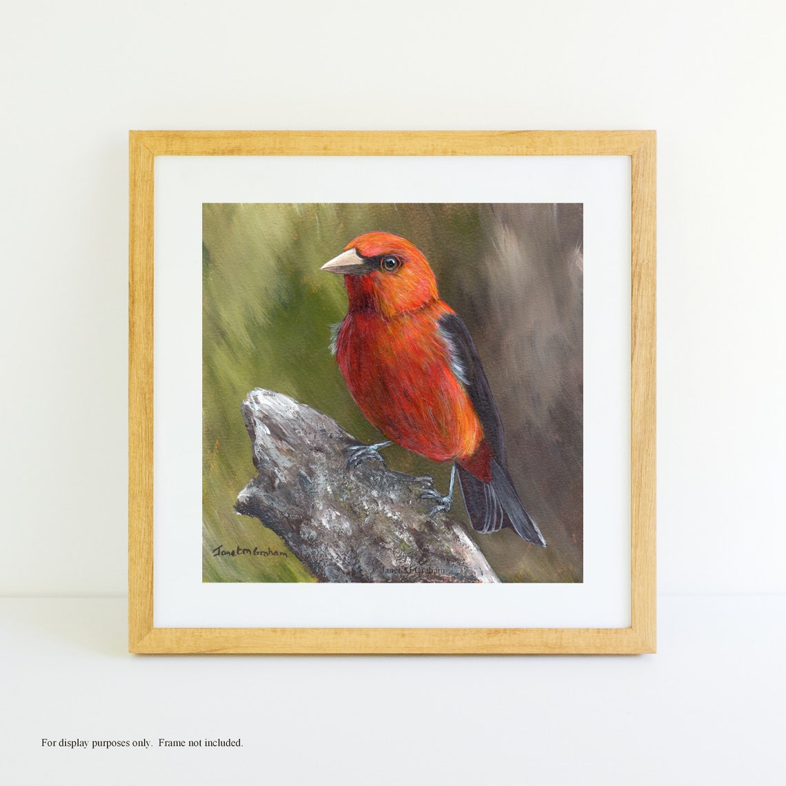 Bird Art / Wildlife Painting / Scarlet Tanager / Original 5 X 5 Inch ...