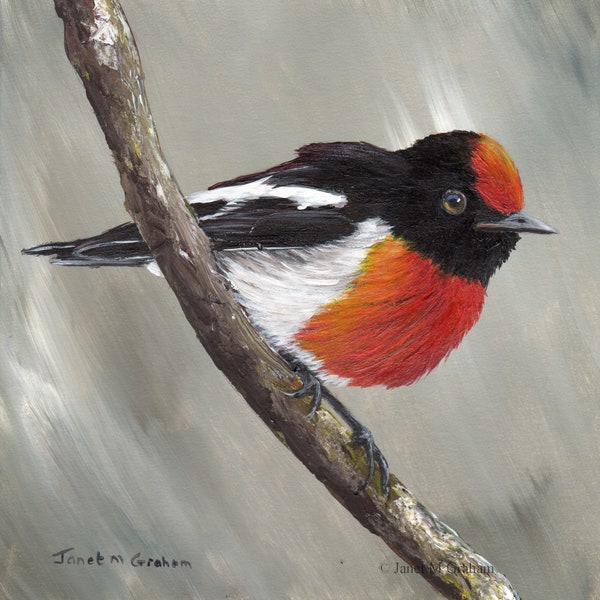 Red Birds Painting - Etsy