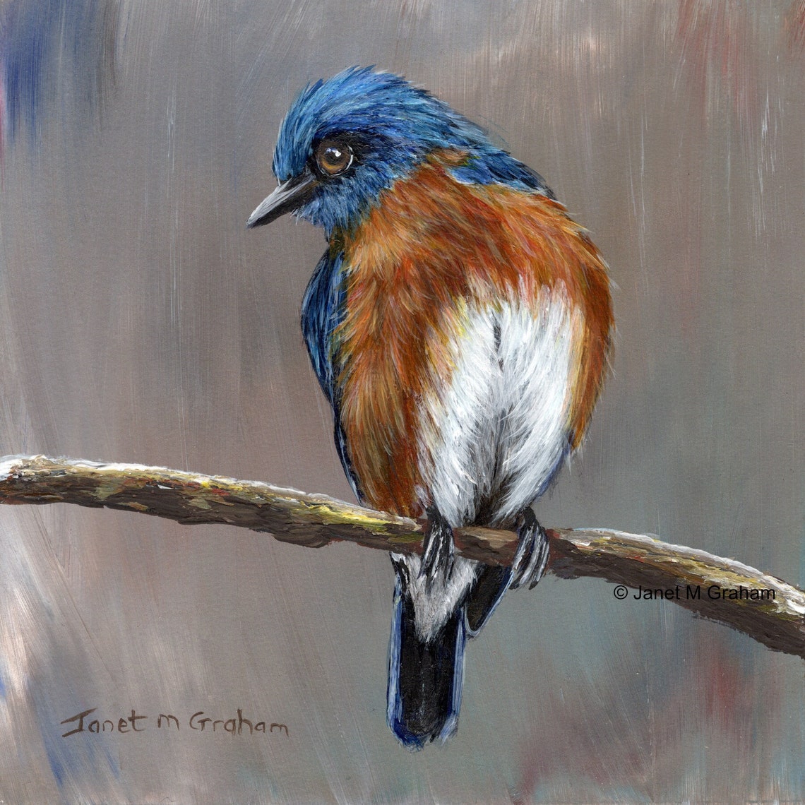 Bird Painting - Art - Eastern Bluebird - SFA - Wildlife - Original Hand ...