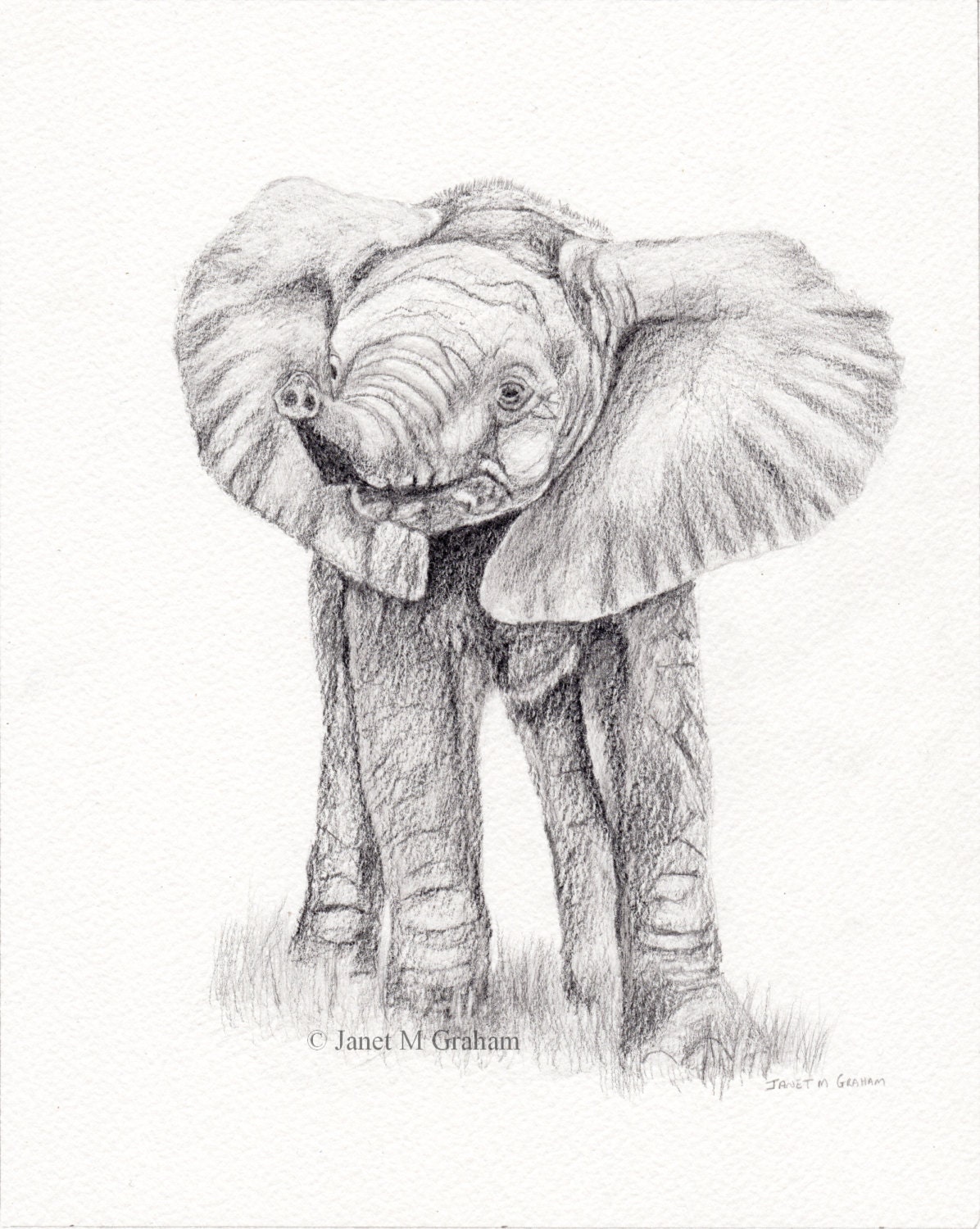 Bébé éléphant African Wildlife animaux AGS dessin Original | Etsy