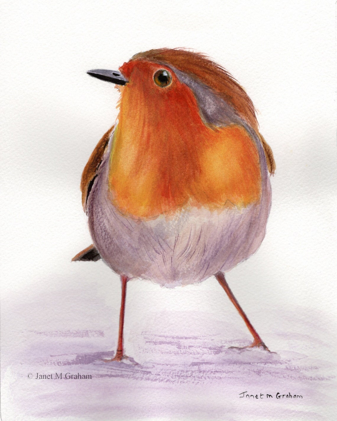 Robin/ Bird/ Art / SFA / Original Hand Painted Bird Watercolour ...