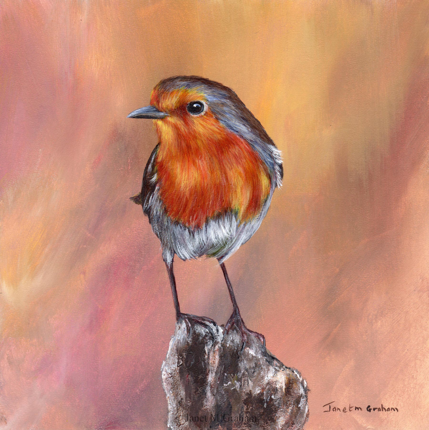 Bird Art Painting Wildlife European Robin SFA - Original Acrylic Bird ...