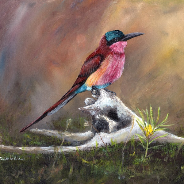 Bee Eater - Etsy