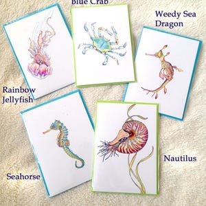 Sea Life Watercolor Cards Set of 5 | Etsy