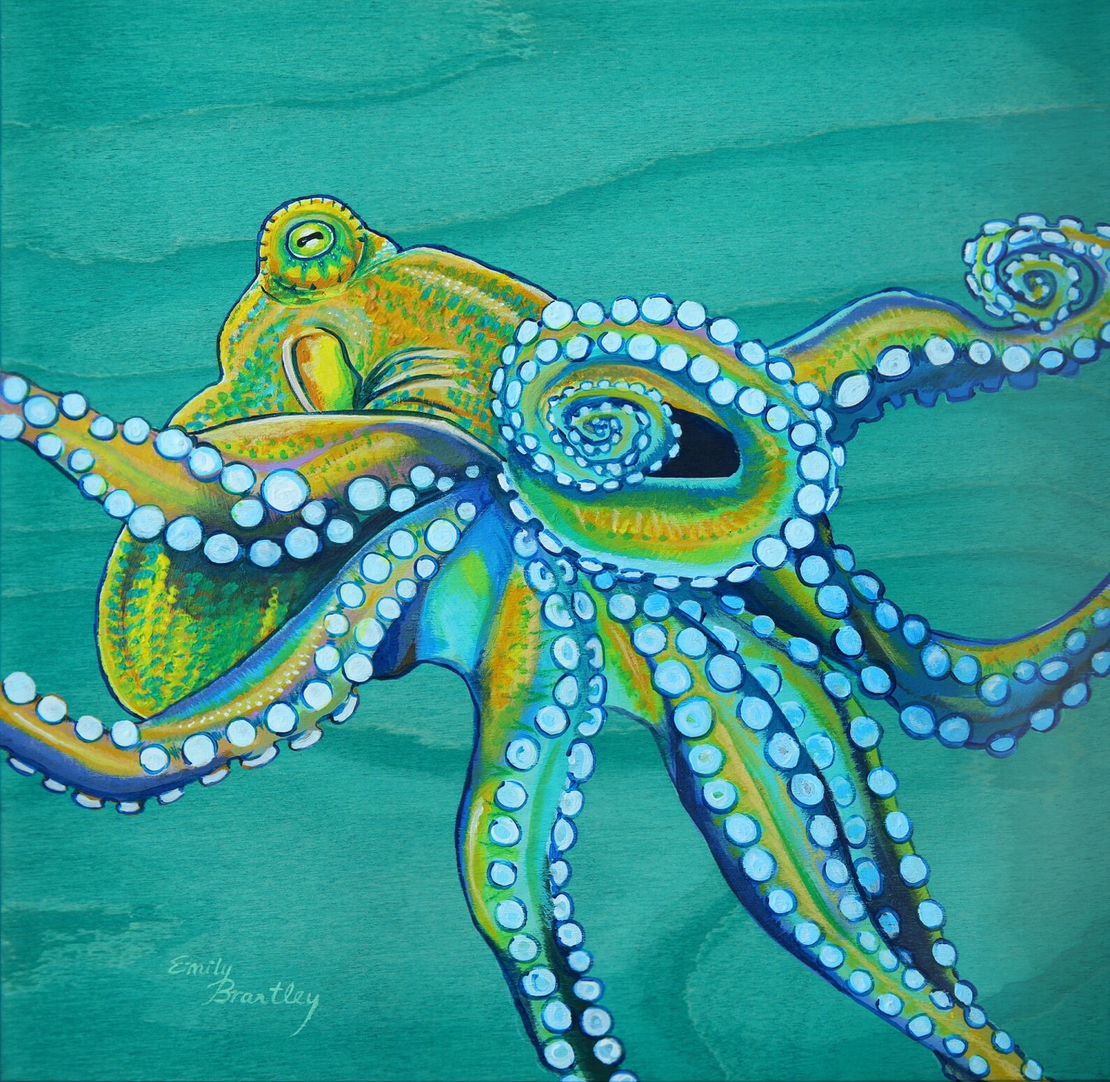 Golden Tako Octopus Fine Art Giclee Print - Etsy