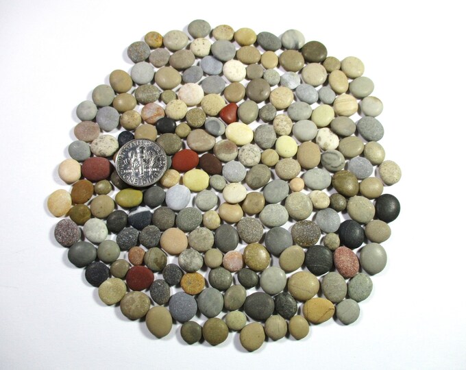 BEACH STONES 175 Tiny Flat Red Brown Grey Tan Beige Black Natural ...