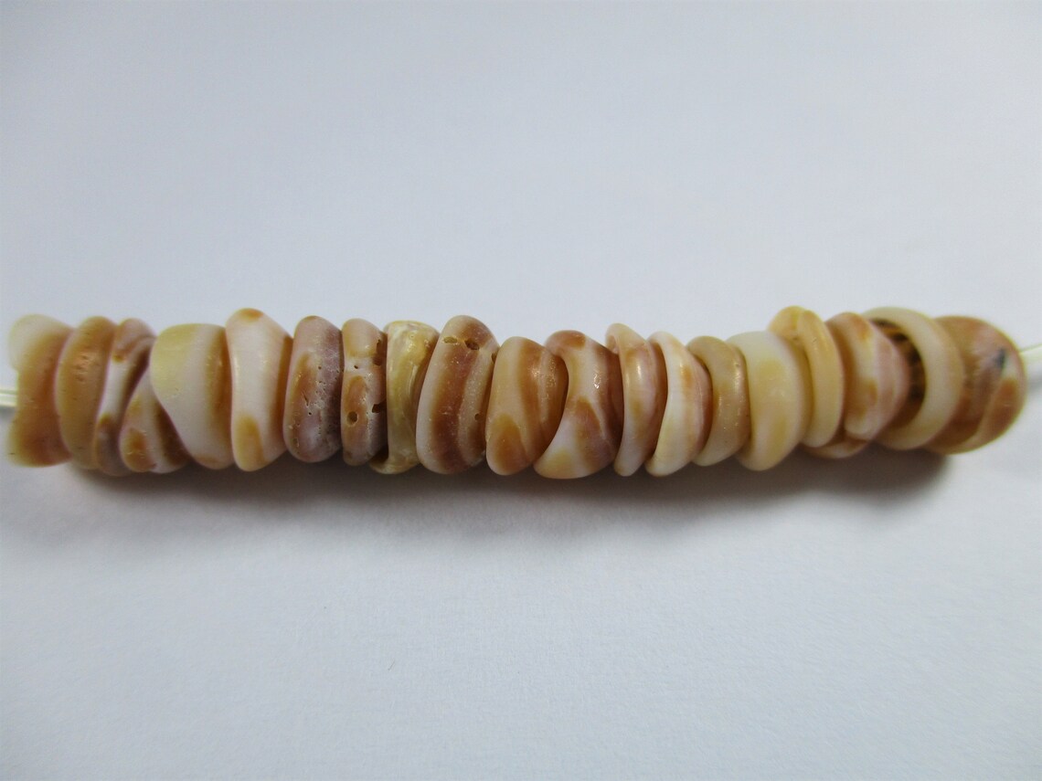 NATURAL PUKA SHELLS 6mm 20 Real Mediterranean Aegean Real Surf | Etsy