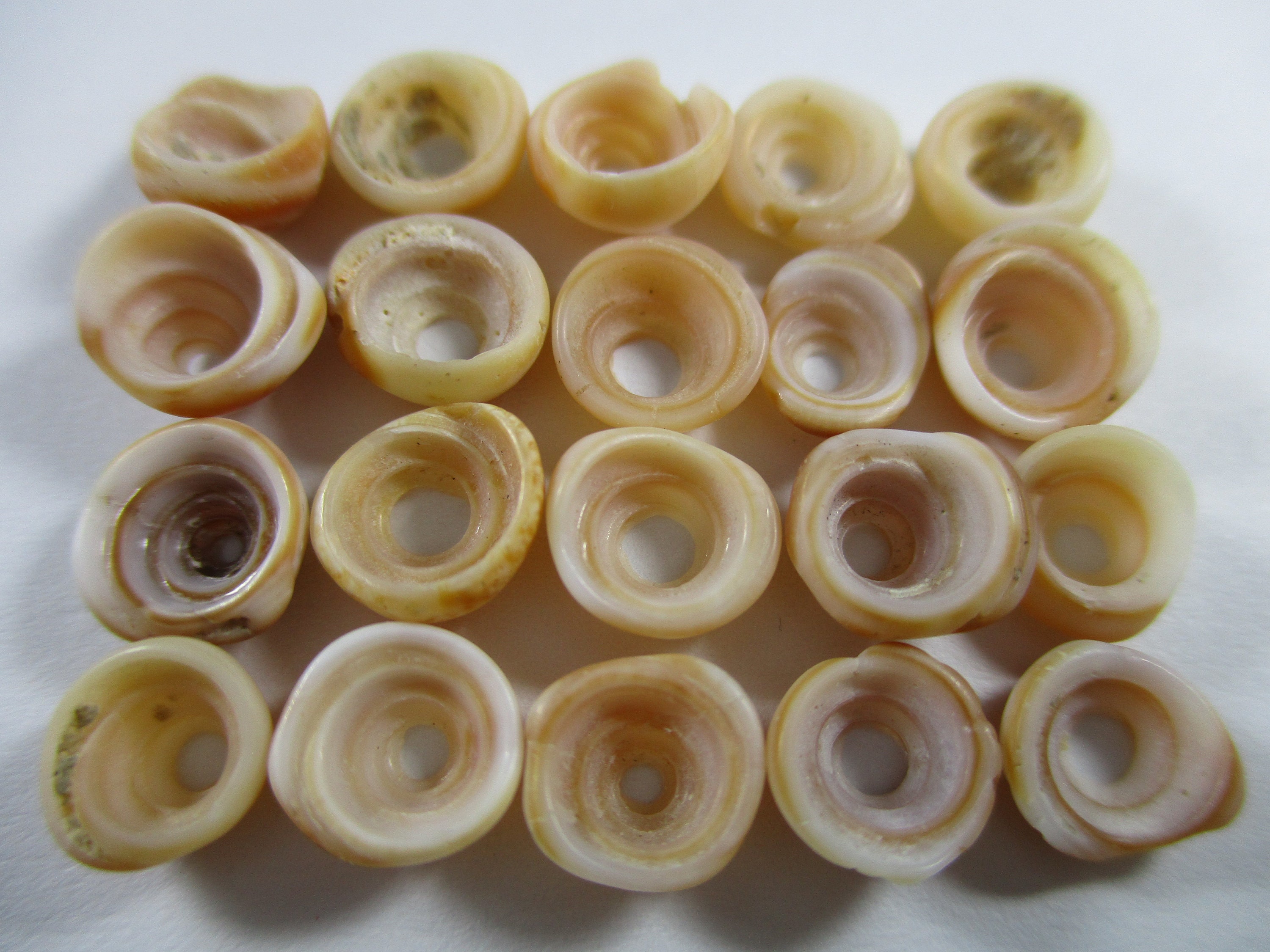 NATURAL PUKA SHELLS 6mm 20 Real Mediterranean Aegean Real Surf | Etsy