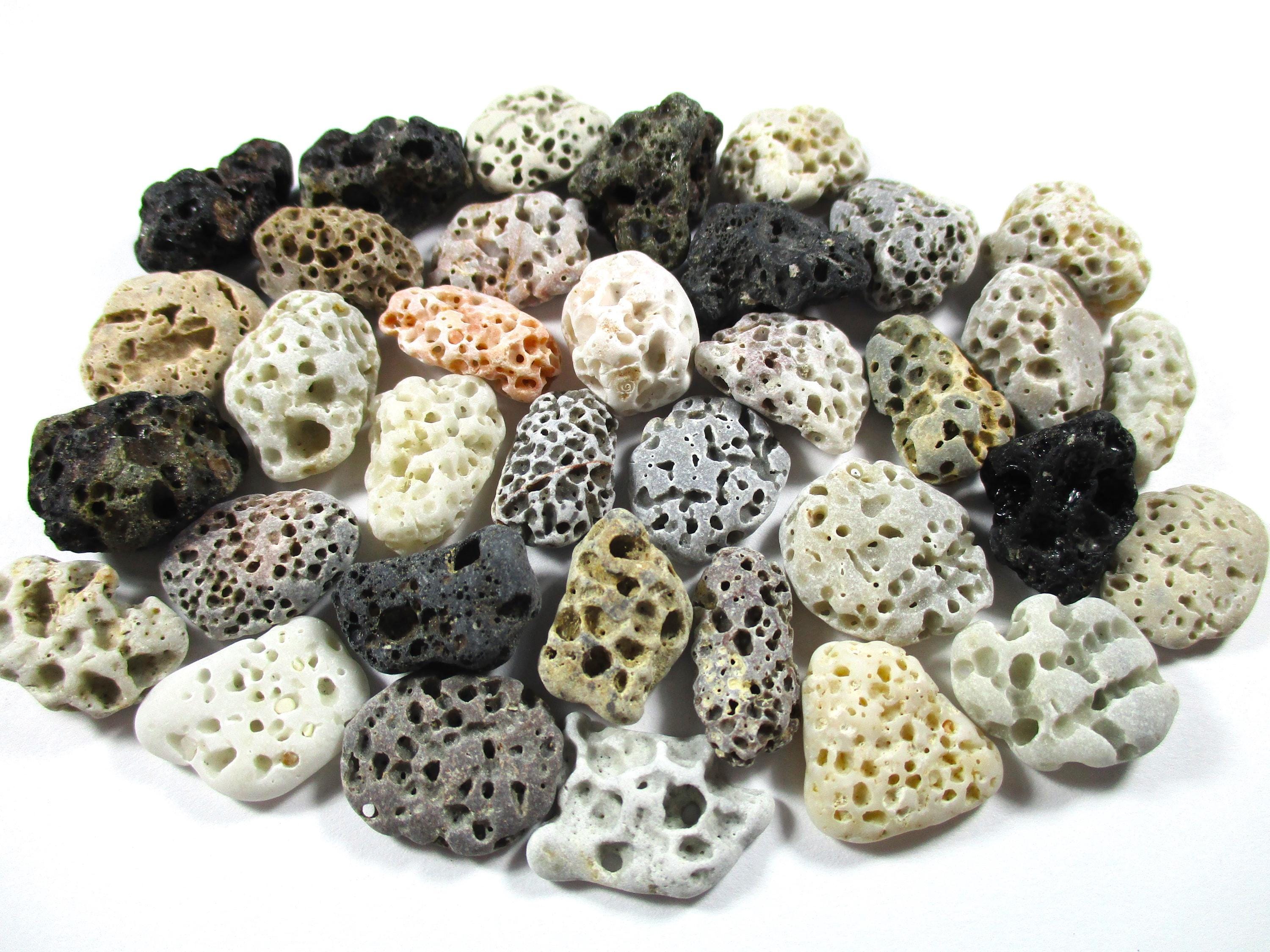 GENUINE BEACH STONES 35 Small Brown White Grey Cream Black Beige Holes ...