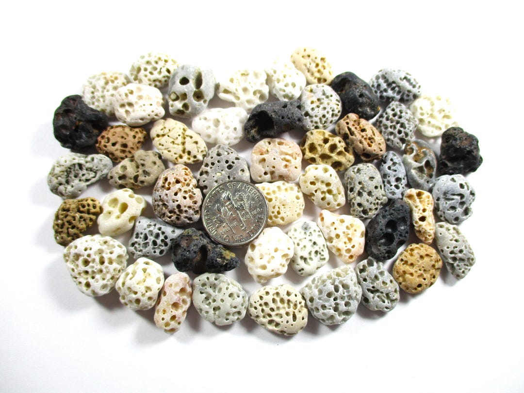GENUINE BEACH STONES 50 Small Brown White Grey Cream Black Beige Holes ...