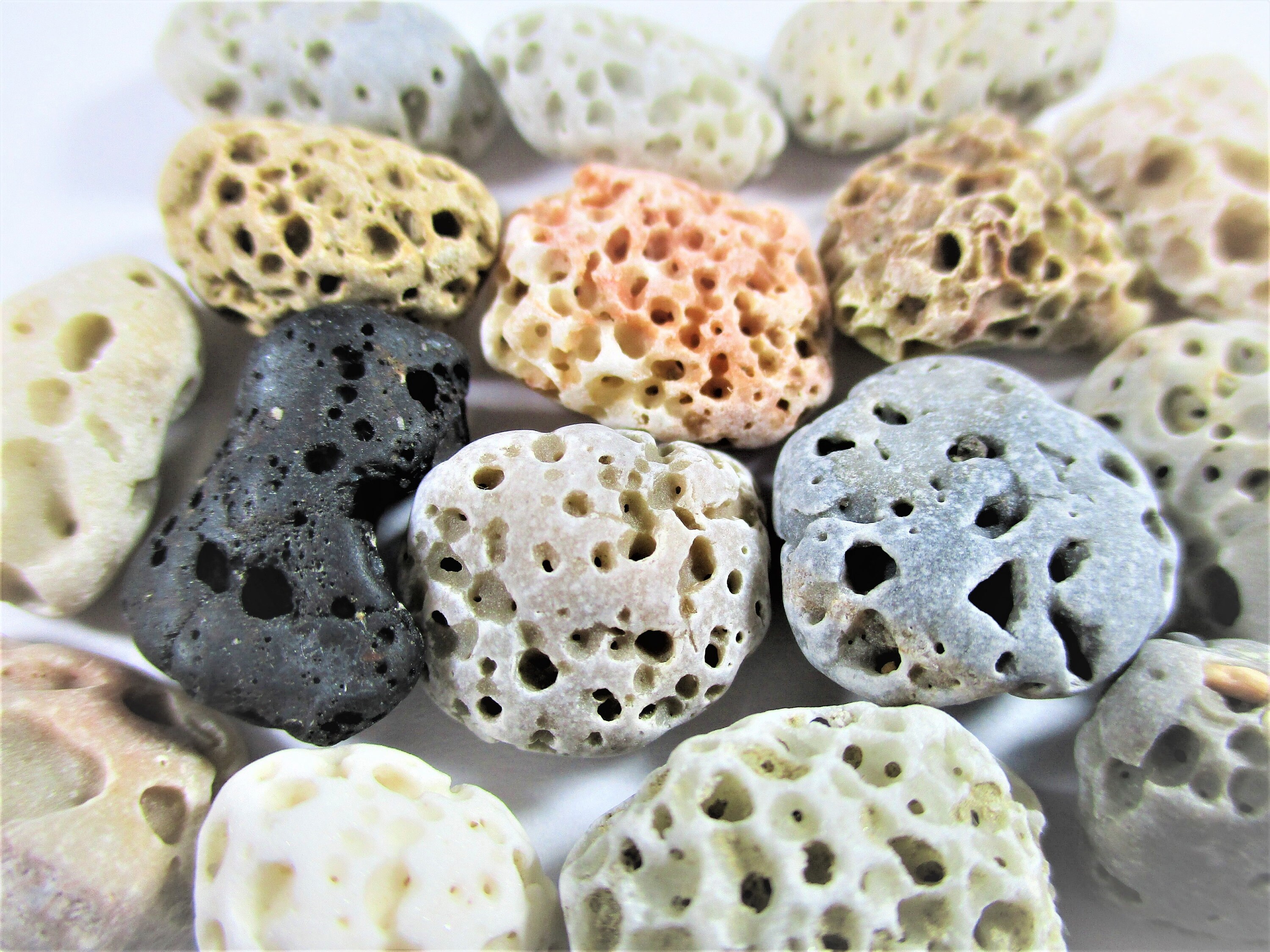 GENUINE BEACH STONES 16 Brown Pink White Grey Cream Black | Etsy