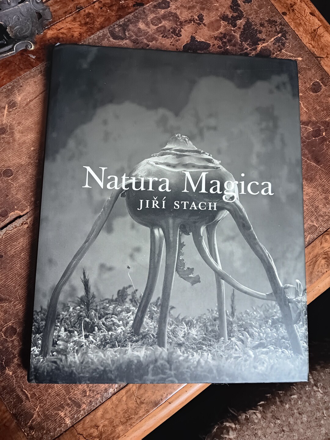 Natura Magica by Jiří Stach Hardcover Dark Art Book - Etsy