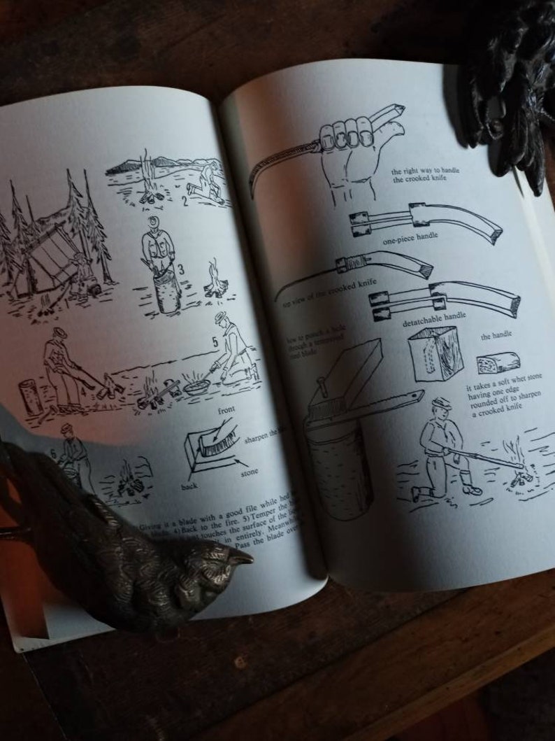 The Complete Woodsman. Rare Out of Print Book on Survival in the Woods ...