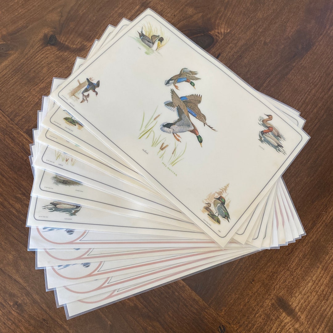 Set of 11 Vintage Vinyl Duck Placemats, Mel Hunter and Richard Sloane ...