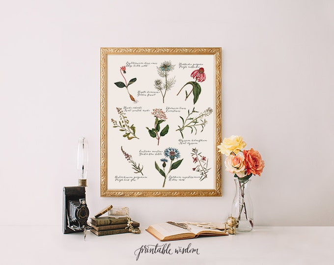 This item is unavailable | Etsy