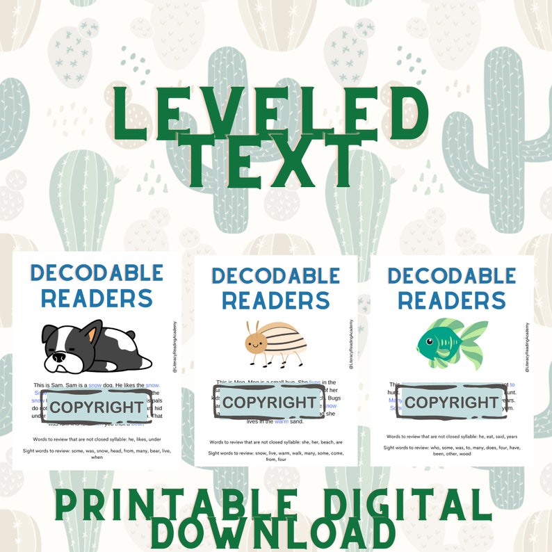 Decodable Reader Passages. Leveled Text. Fluency Pages. Orton ...