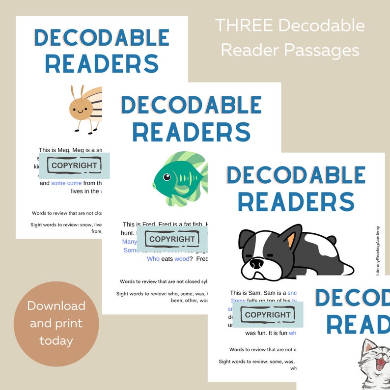 Decodable Reader Passages. Leveled Text. Fluency Pages. Orton - Etsy