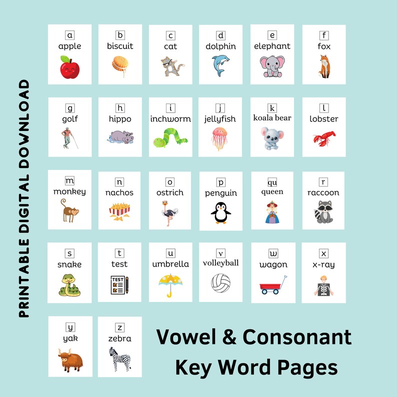 Primary Vowel & Consonant Binder Pages. Dyslexia Tutoring Pages. Orton ...