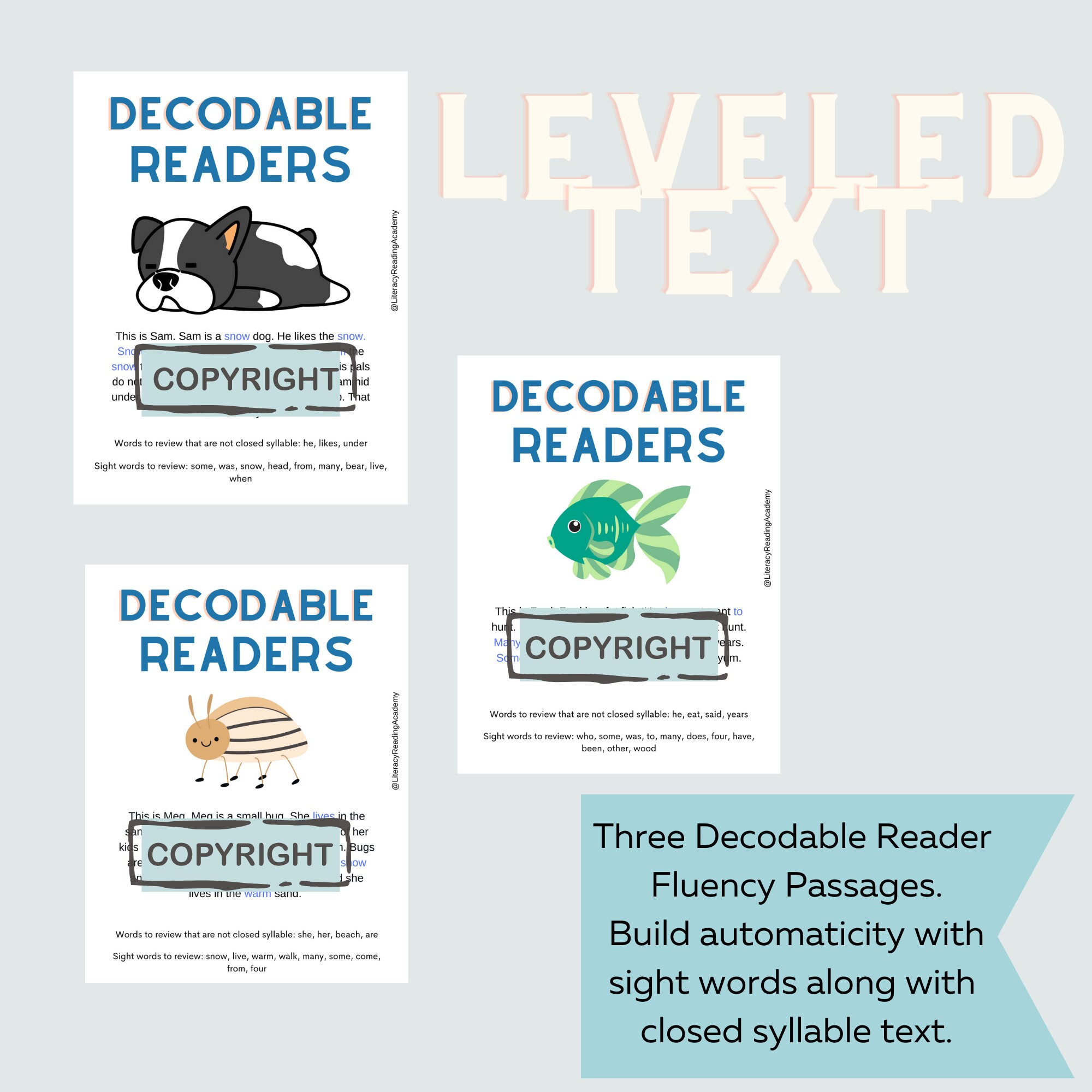 Decodable Reader Passages. Leveled Text. Fluency Pages. Orton ...