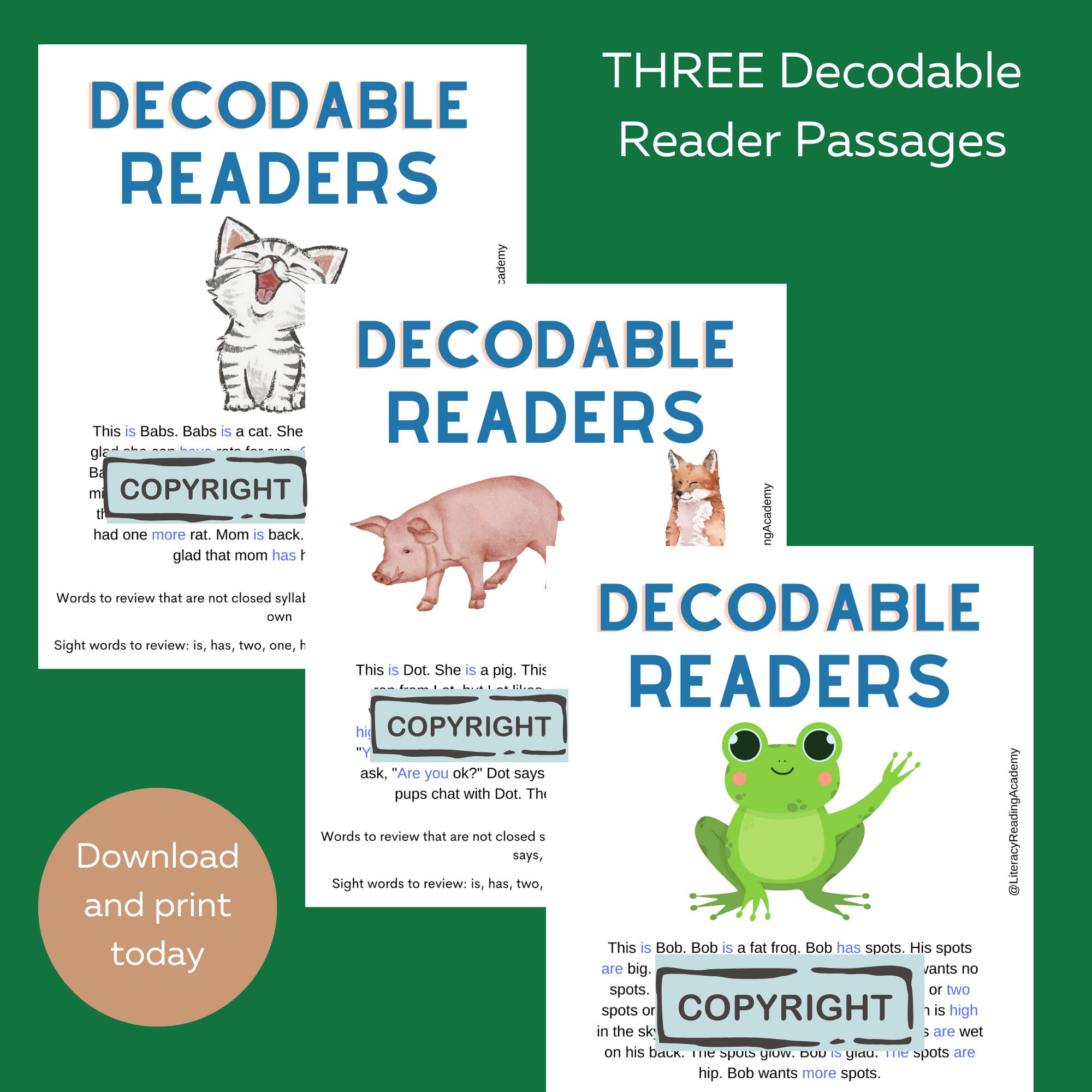 Orton Gillingham Sight Word Worksheets List 1, Educational Worksheets ...