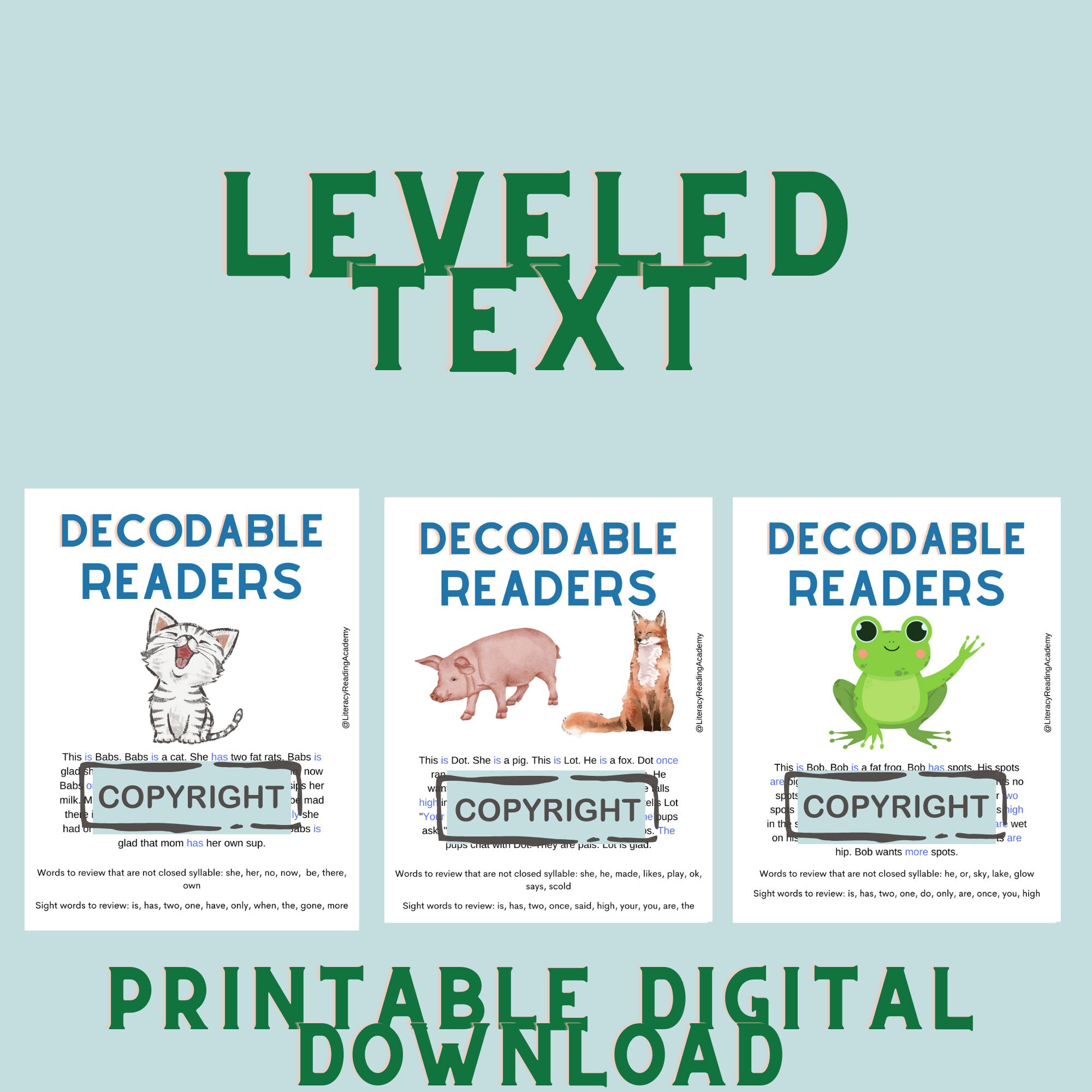 Decodable Reader Passages. Leveled Text. Fluency Pages. Orton ...