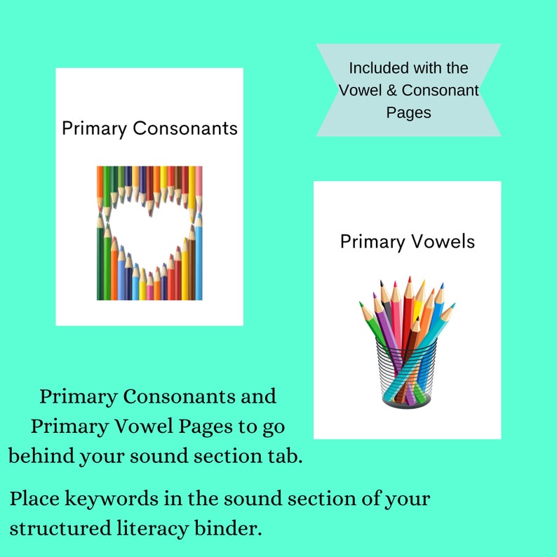 Primary Vowel & Consonant Binder Pages. Dyslexia Tutoring Pages. Orton ...