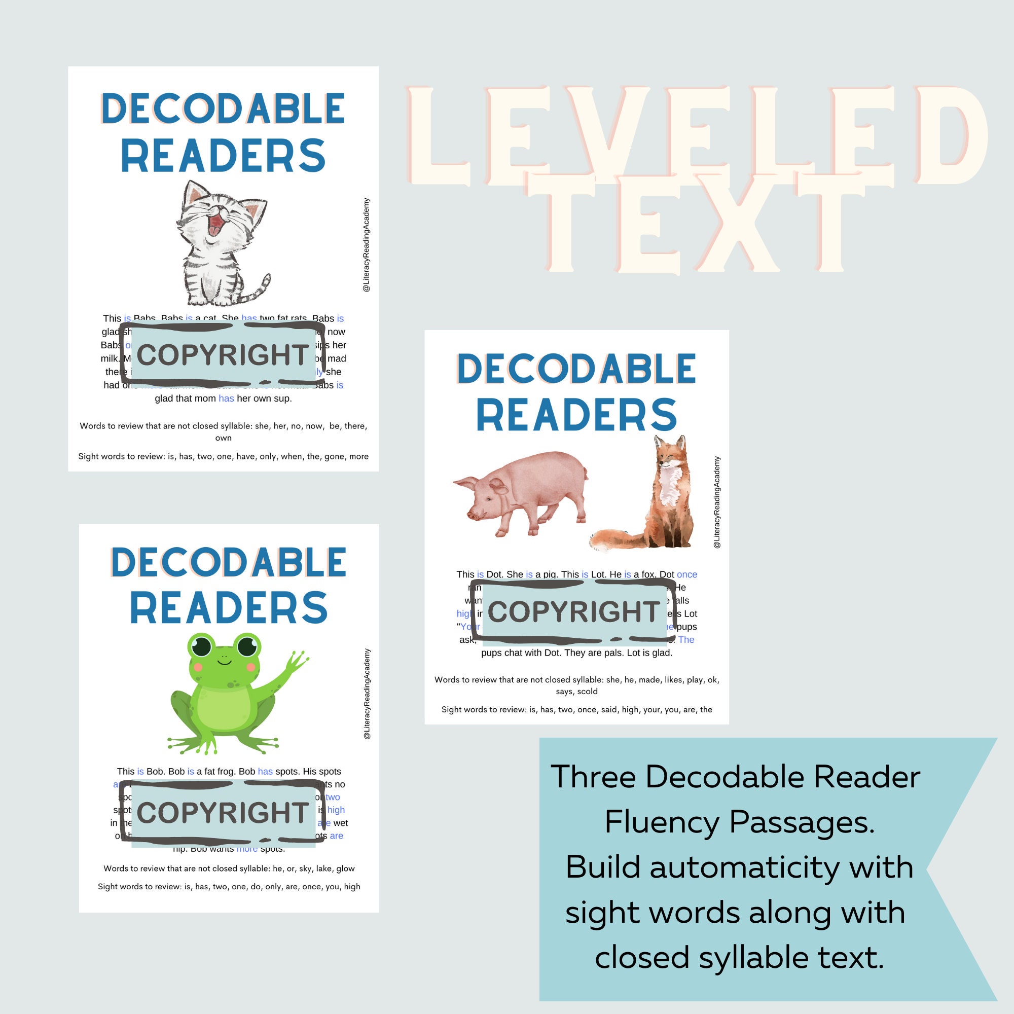 Decodable Reader Passages. Leveled Text. Fluency Pages. Orton ...