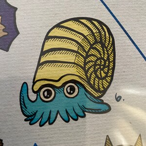 Fossil Pokémon Scientific Poster 17inx11in - Etsy