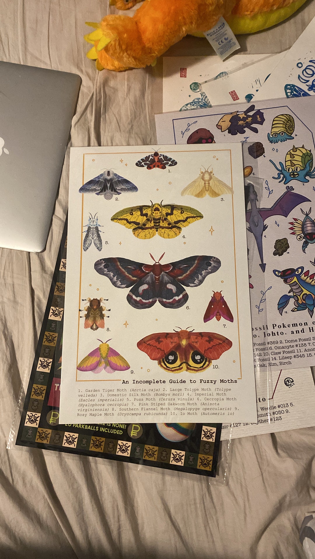 Fuzzy Moth Scientific Poster 17inx11in - Etsy