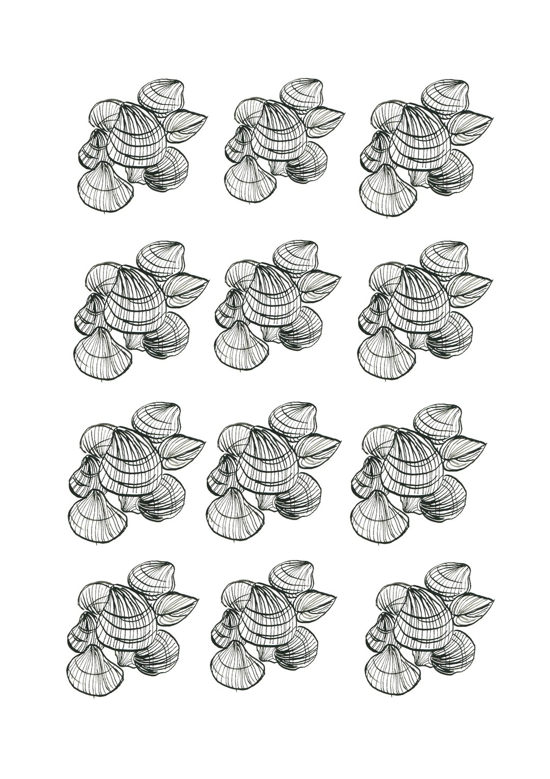 Printable Cockle Shells Illustration, Digital Download Shell ...