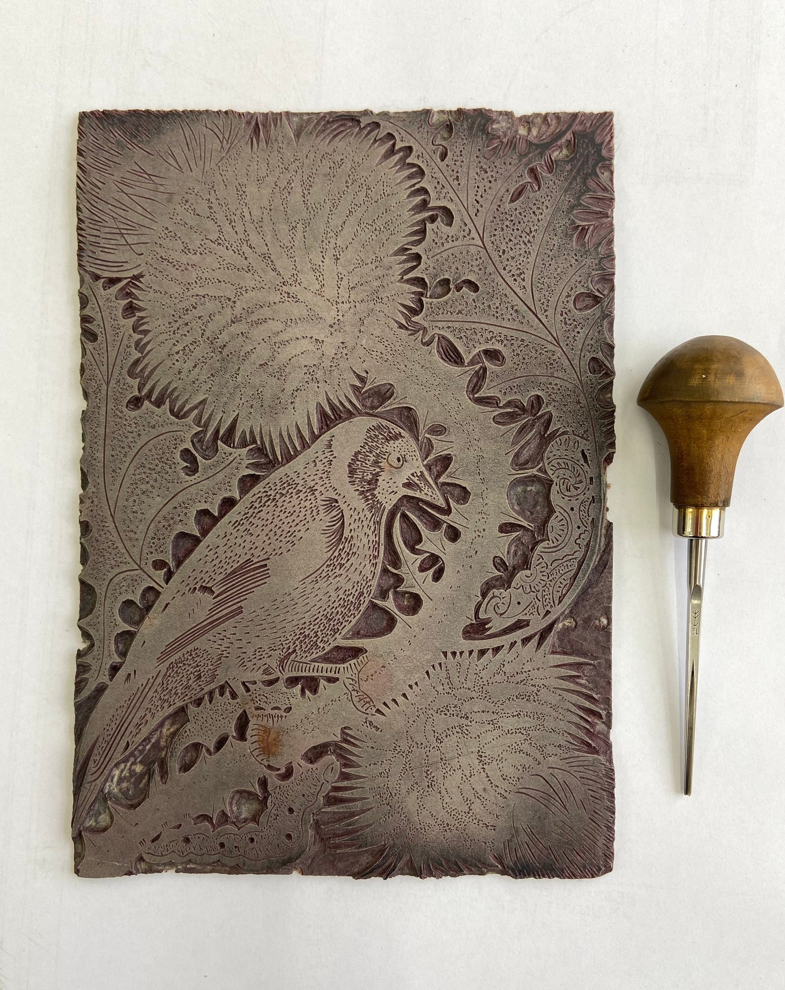 Linocut of a Gold Finch With a Thistle - Etsy