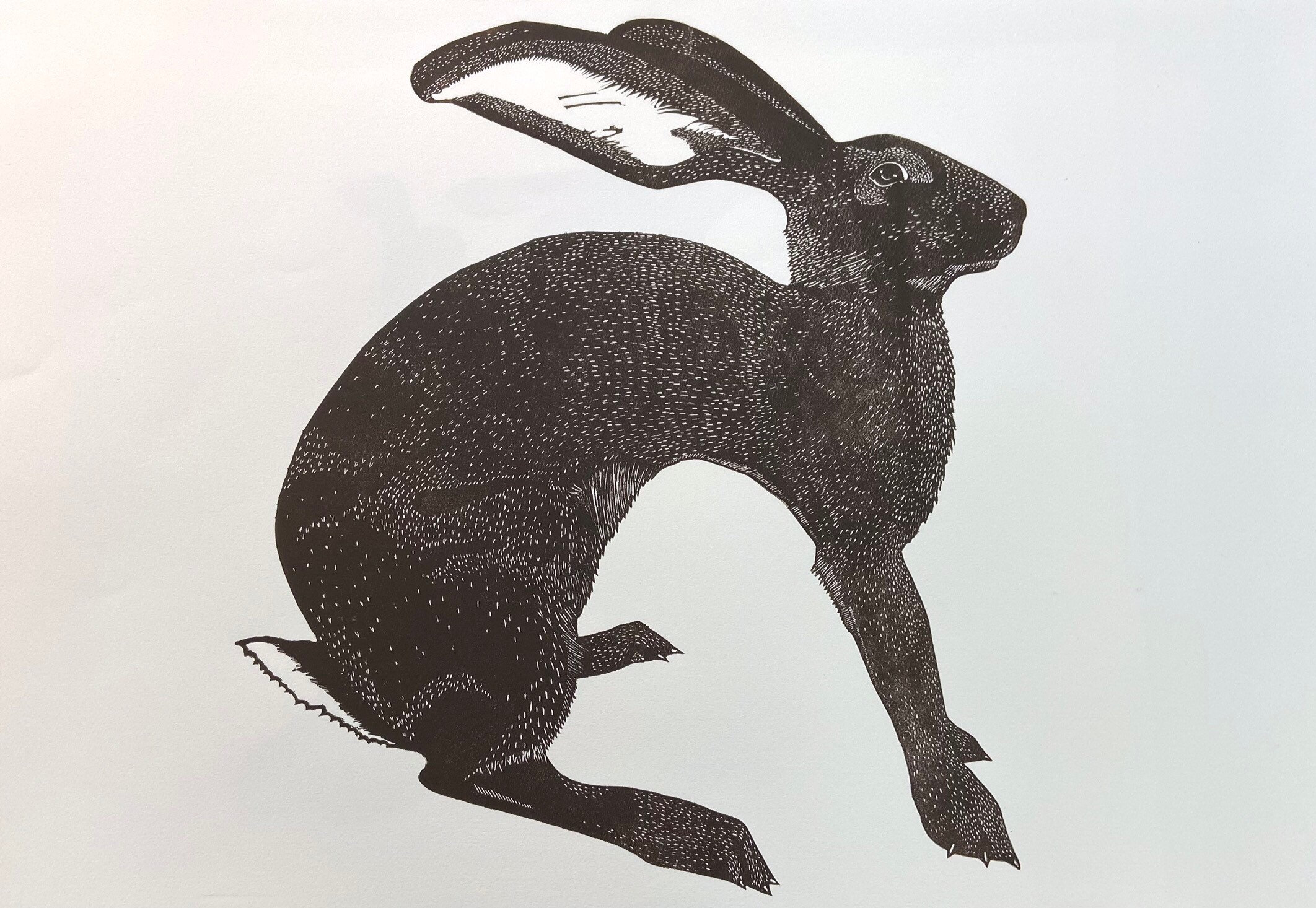 Large Linocut Print of a Hare - Etsy Australia