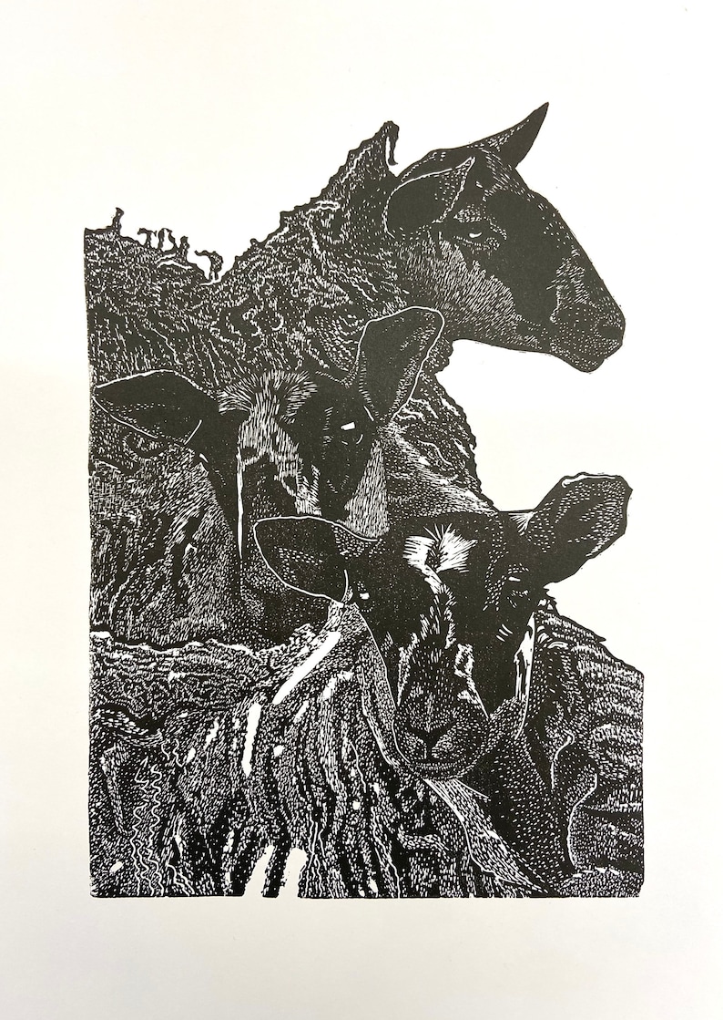 Hand Pulled, Limited Edition Linocut Print of Sheep - Etsy