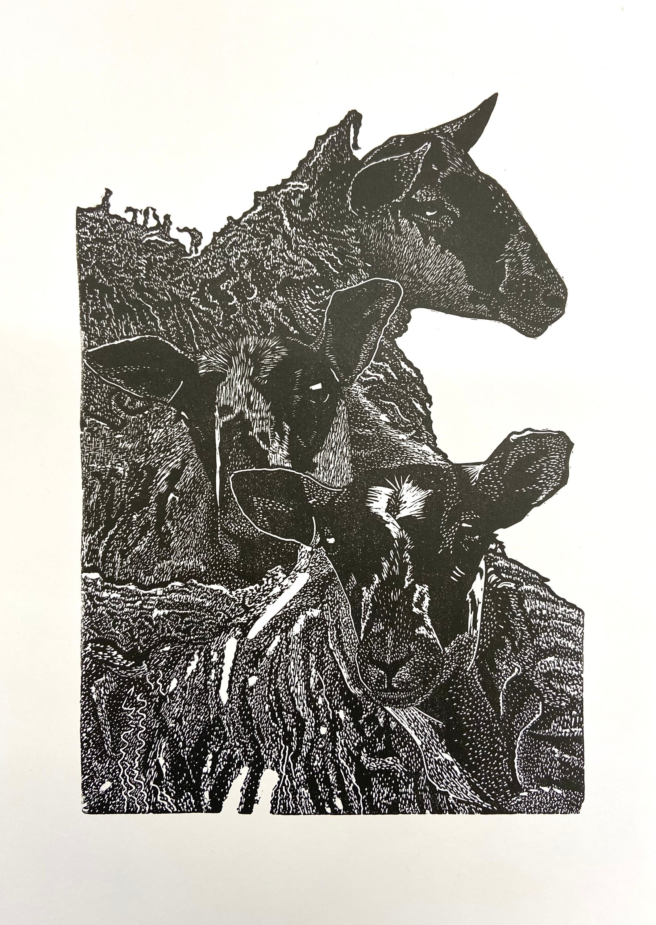 Hand Pulled Limited Edition Linocut Print of Sheep - Etsy