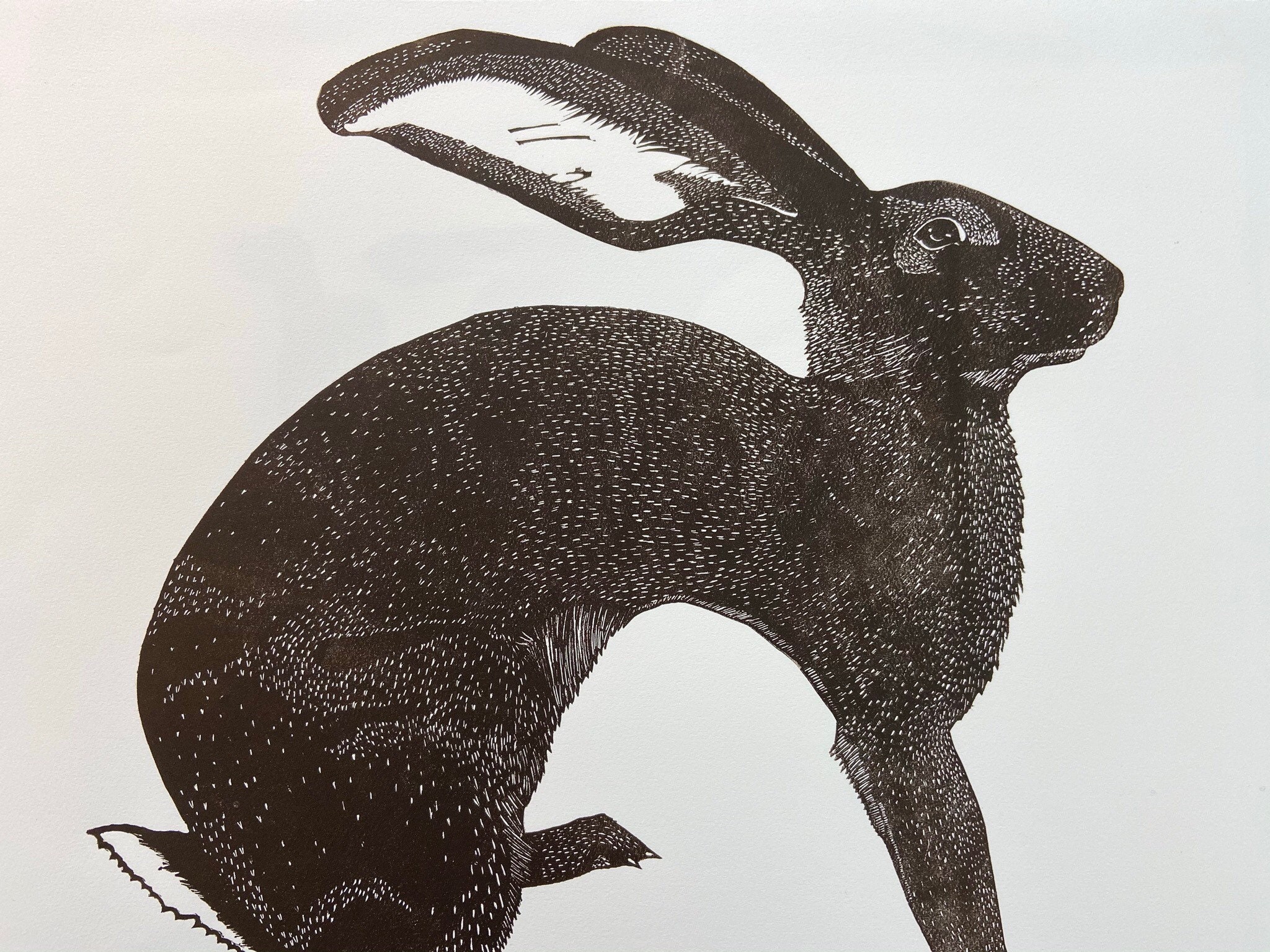 Large Linocut Print of a Hare - Etsy Australia