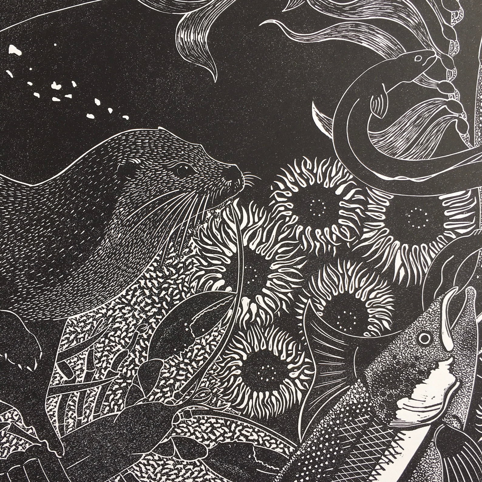 Large Circular Linocut Print of a Nocturnal Underwater Scene - Etsy