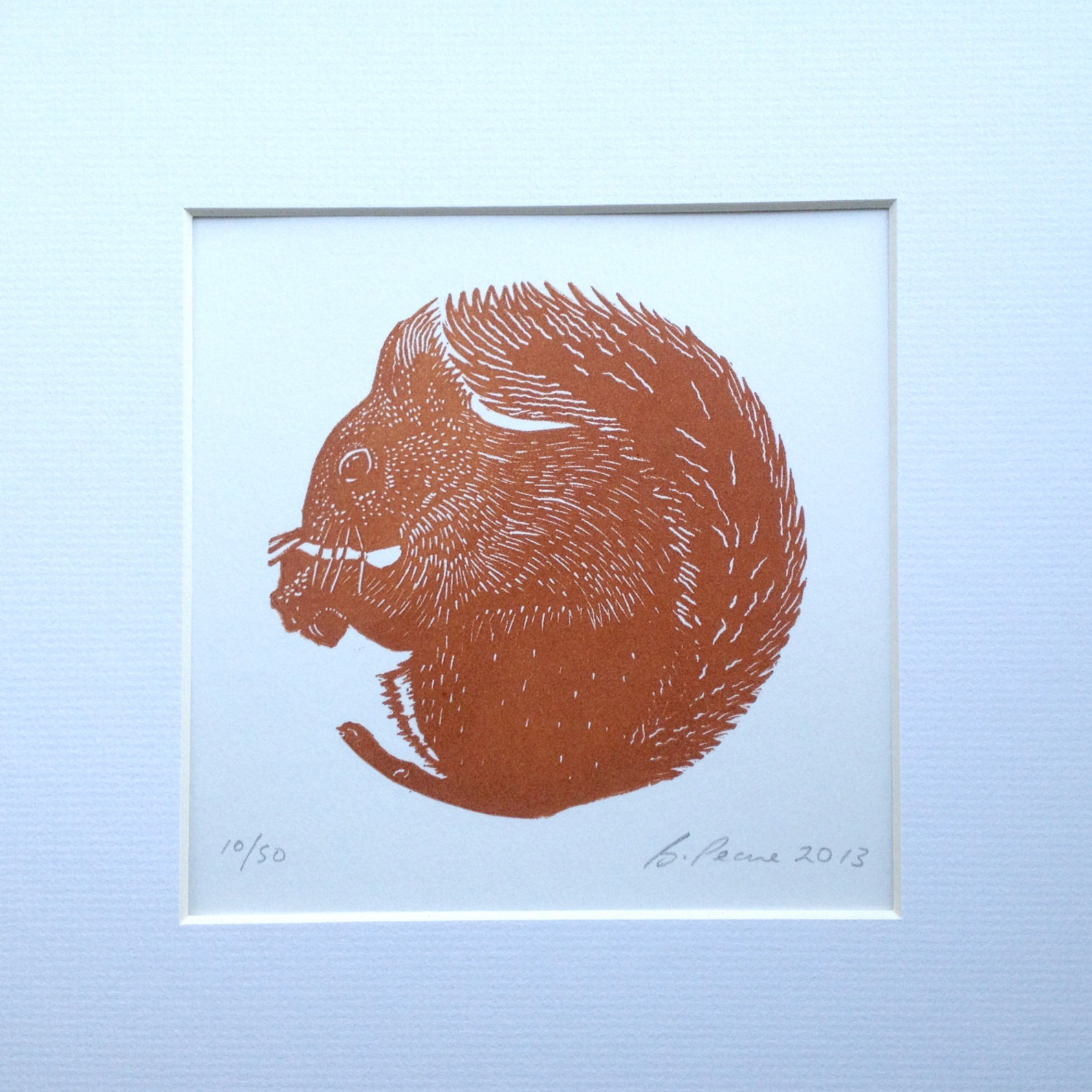 Hand Pulled Limited Edition Linocut Print of a Squirrel | Etsy