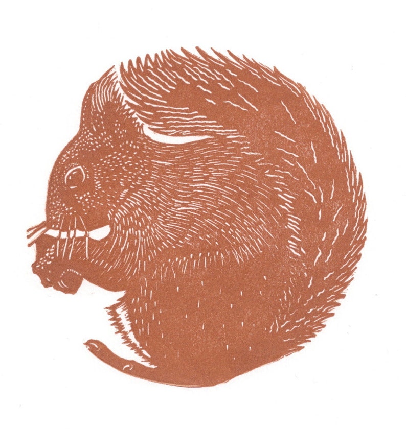 Hand Pulled Limited Edition Linocut Print of a Squirrel - Etsy