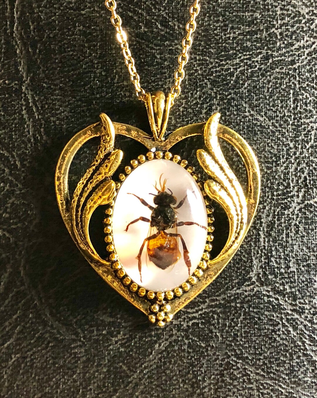 Gold Heart Honey Bee Specimen Bezel in Resin Insect Cameo Entomology ...
