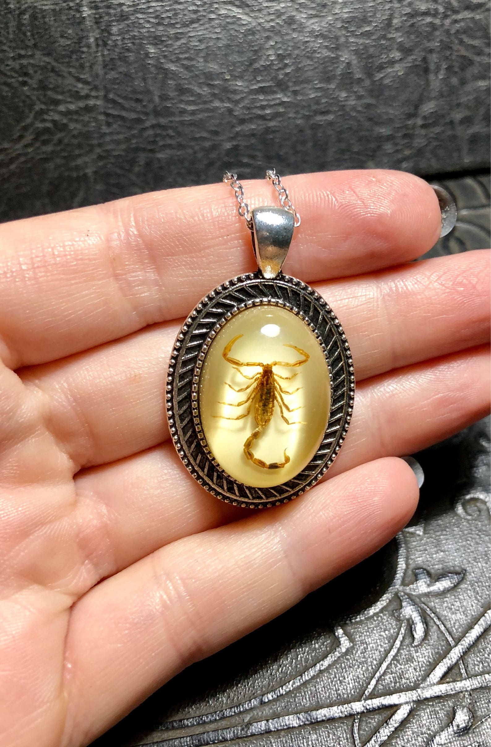 Real Golden Bark Scorpion Specimen in Resin Floating Entomology Insect ...