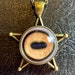 Ram Eye Taxidermy Acrylic Goat Eye Necklace Horizontal Pupil ...