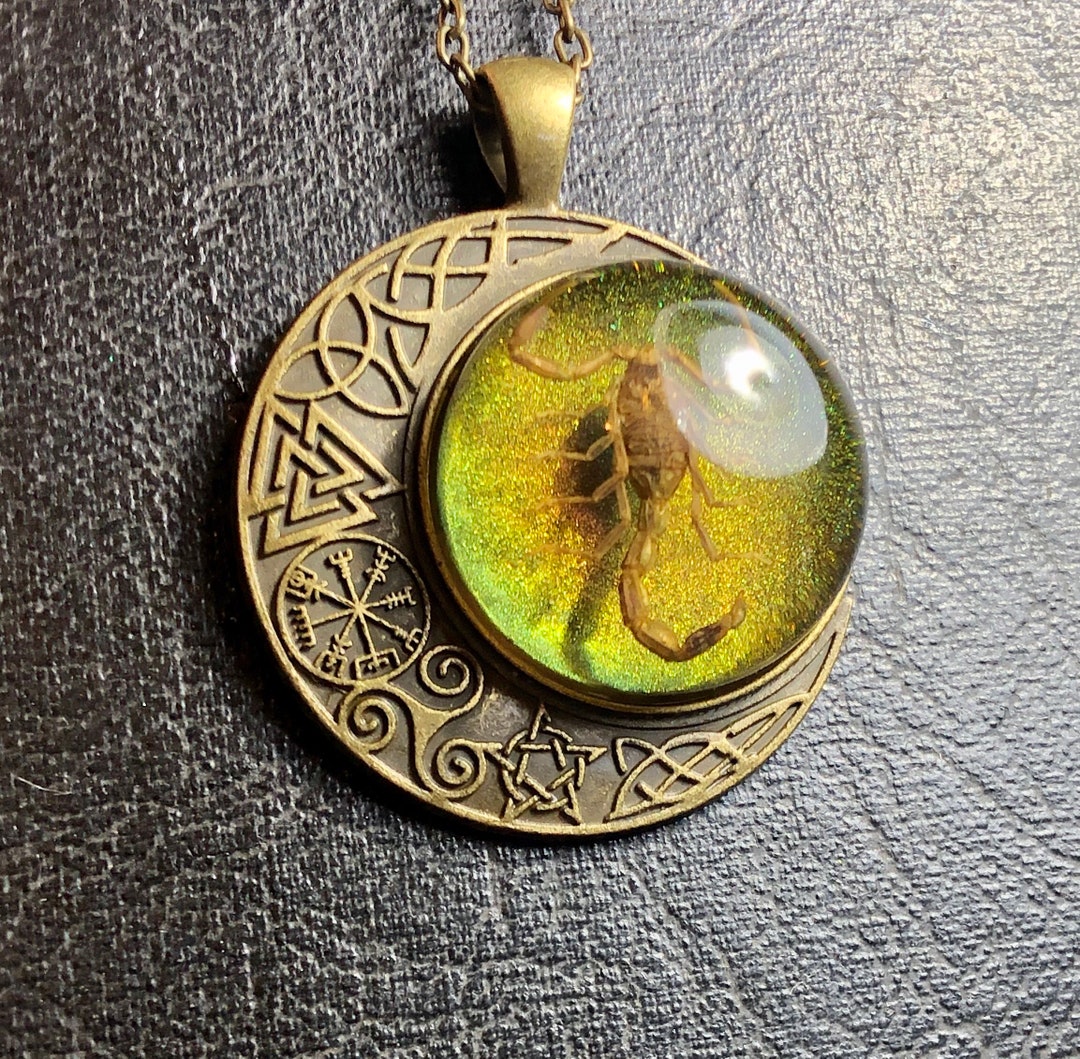 Real Golden Scorpion Specimen in Resin Cameo Multi Color Shift Crescent ...