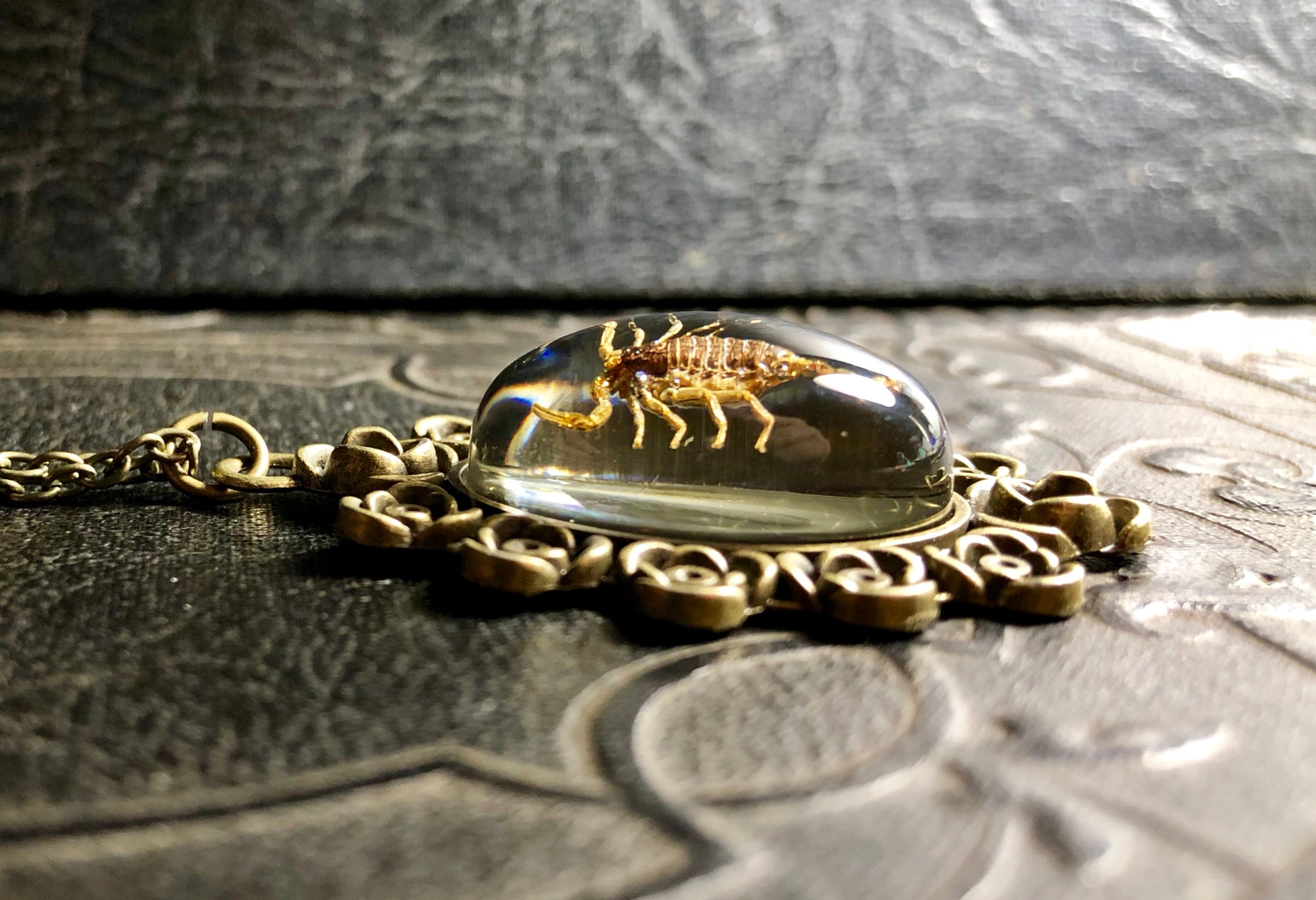 Real Golden Scorpion Specimen on Black Resin in Rose Ring Bronze ...